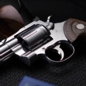 Wilson Combat Rear Sights for Colt 2020 Python